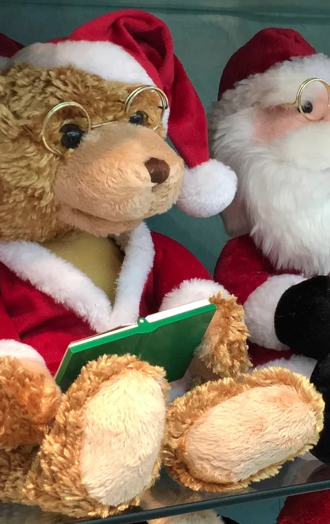 Storytime Bear | PBC International Wiki | Fandom