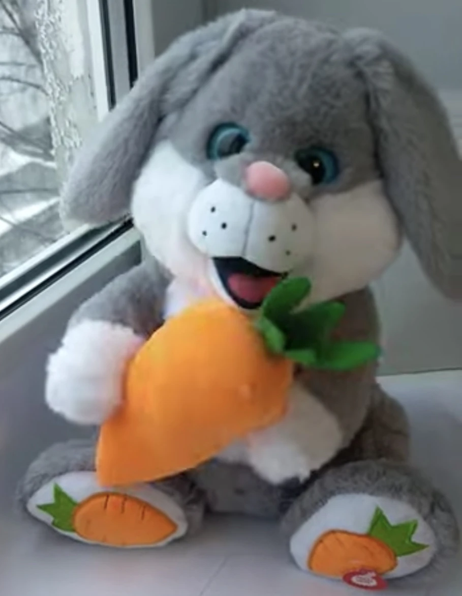 Raggles Band | PBC International Wiki | Fandom