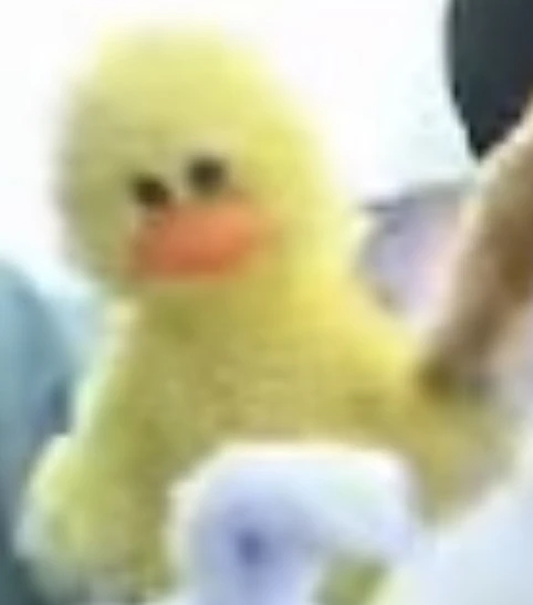 Electronic Animated Duck | PBC International Wiki | Fandom