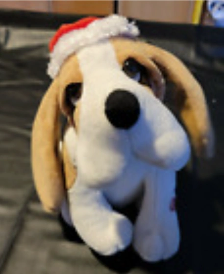 Flapping Elvis Dog | PBC International Wiki | Fandom