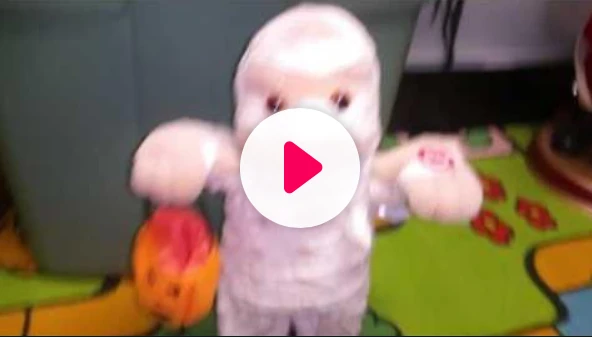 Trailers | PBC International Wiki | Fandom