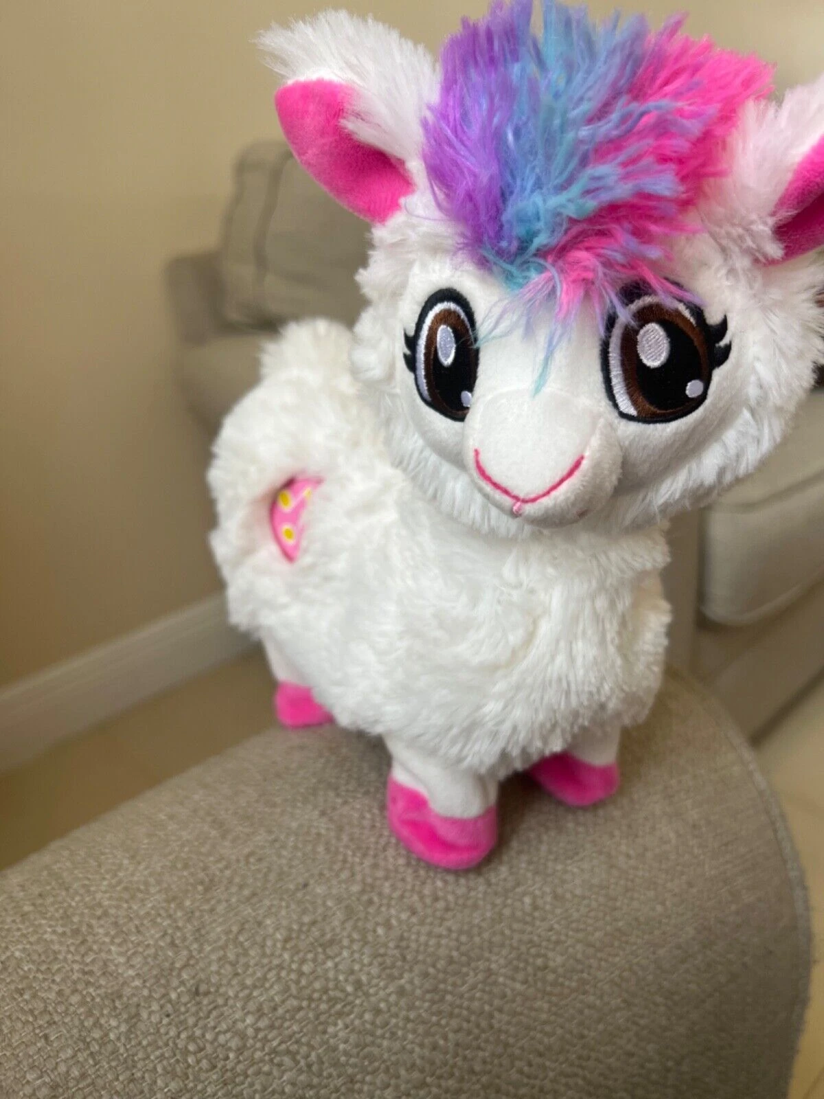 Boppi | PBC International Wiki | Fandom