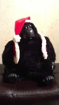 Playbox | PBC International Wiki | Fandom