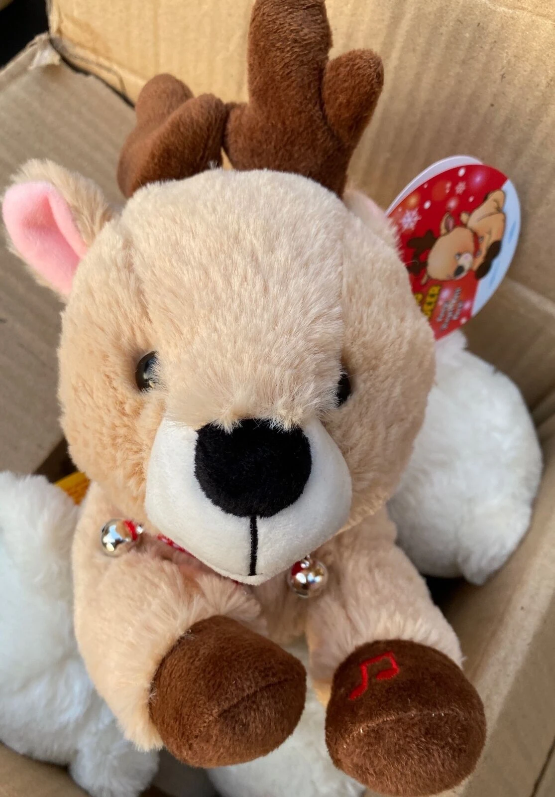 B (reindeer) | PBC International Wiki | Fandom