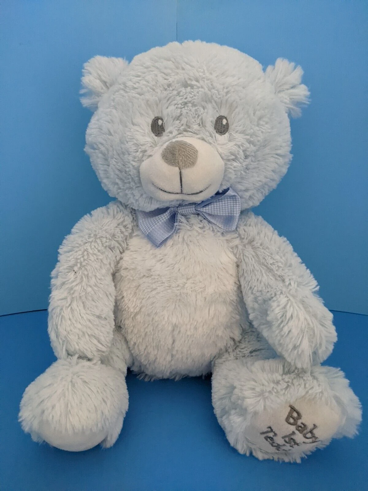 Baby’s First Teddy | PBC International Wiki | Fandom