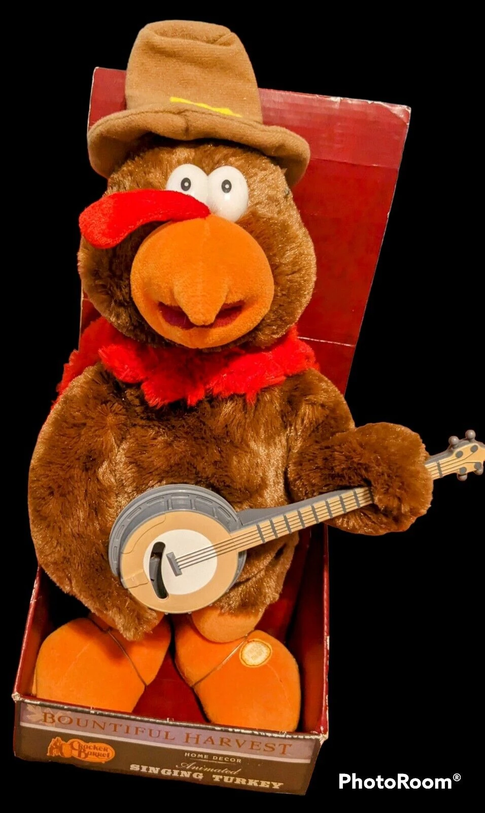 Banjo Turkey | PBC International Wiki | Fandom