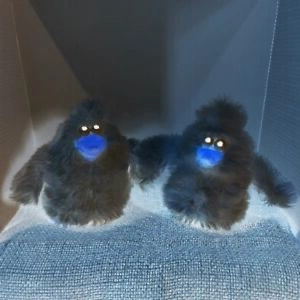 Anti-Chicken Dancers | PBC International Wiki | Fandom