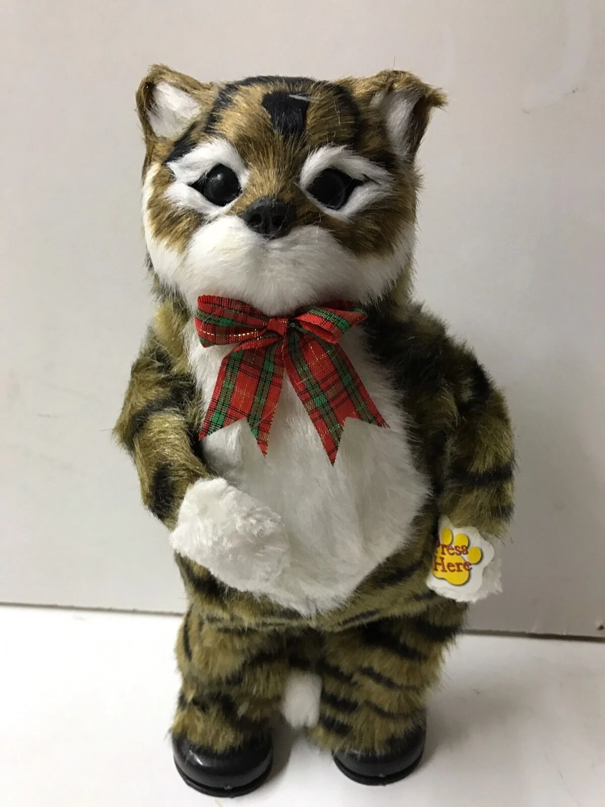 Farm Gang Cat | PBC International Wiki | Fandom