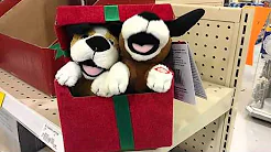 Singing Gift Box Puppies | PBC International Wiki | Fandom