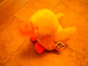 Scooter Duck | PBC International Wiki | Fandom