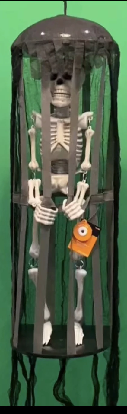 Lit Skeleton | PBC International Wiki | Fandom