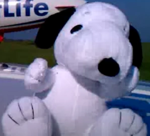 Dancing MetLife Snoopy | PBC International Wiki | Fandom