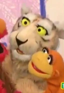 Tiger/ Gallery | PBS Kids Animals Wiki | Fandom