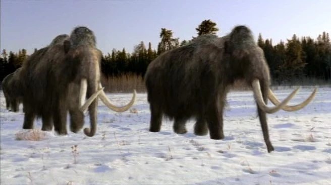 Woolly Mammoth | PBS Kids Animals Wiki | Fandom