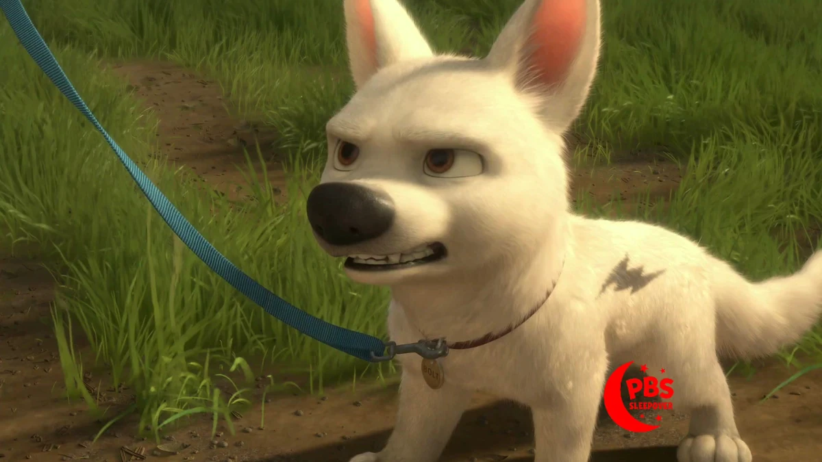 October 6, 2020 | PBS Kids/PBS Sleepover Broadcast Archives Fanon Wiki ...