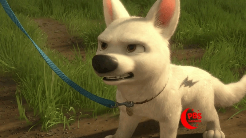 October 12, 2013 | PBS Kids/PBS Sleepover Broadcast Archives Fanon Wiki ...