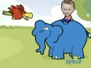 November 8, 2010 | PBS Kids Sprout TV Wiki | Fandom