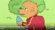 The Berenstain Bears/Gallery | PBS Kids Sprout TV Wiki | Fandom