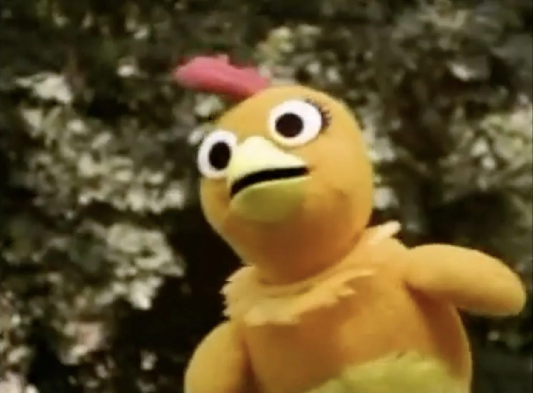 Chica | PBS Kids Sprout TV Wiki | Fandom