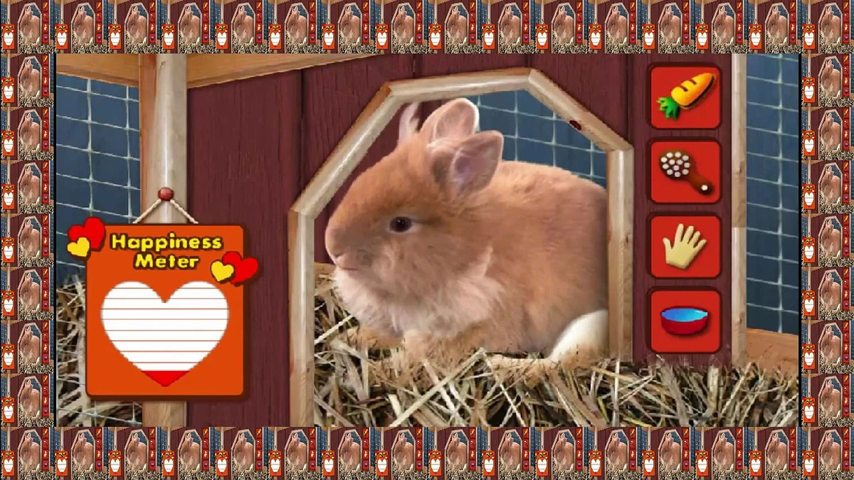 Play with Bunji | PBS Kids Sprout TV Wiki | Fandom