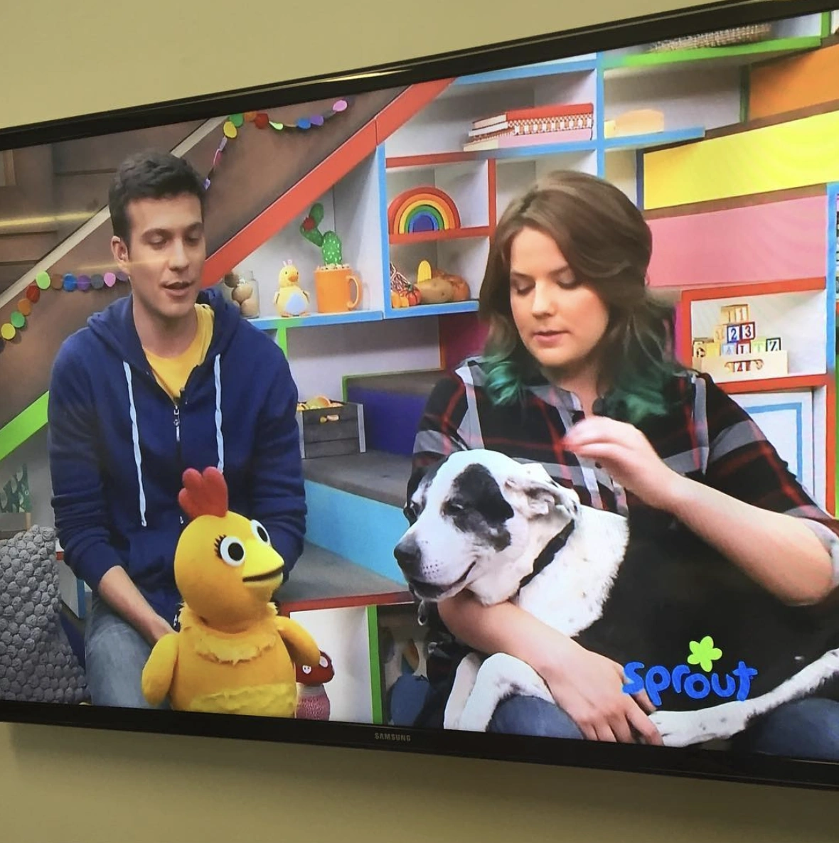 Ashley Beecher | PBS Kids Sprout TV Wiki | Fandom