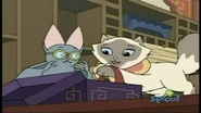Sagwa, the Chinese Siamese Cat/Gallery | PBS Kids Sprout TV Wiki | Fandom