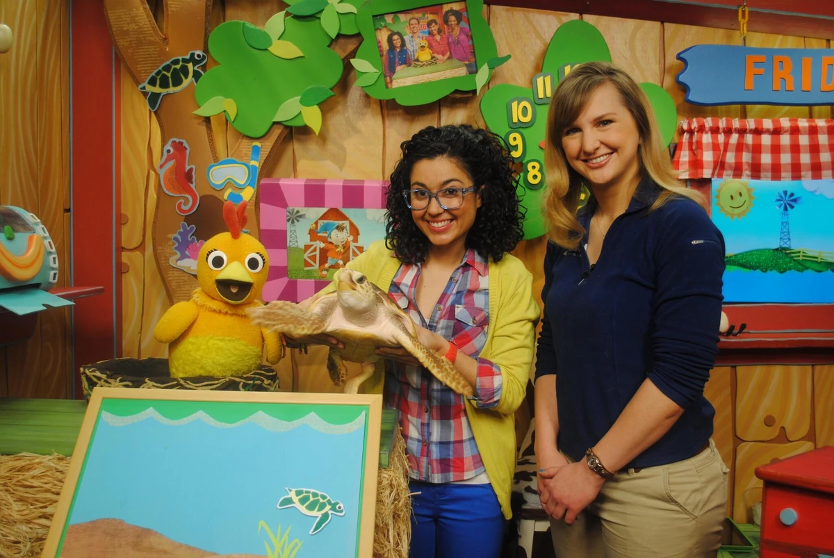 Ozzy the Turtle | PBS Kids Sprout TV Wiki | Fandom