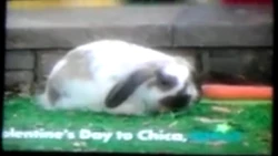 February 14, 2013 | PBS Kids Sprout TV Wiki | Fandom