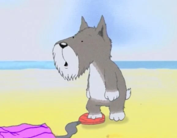 Tiger | PBS Kids Sprout TV Wiki | Fandom