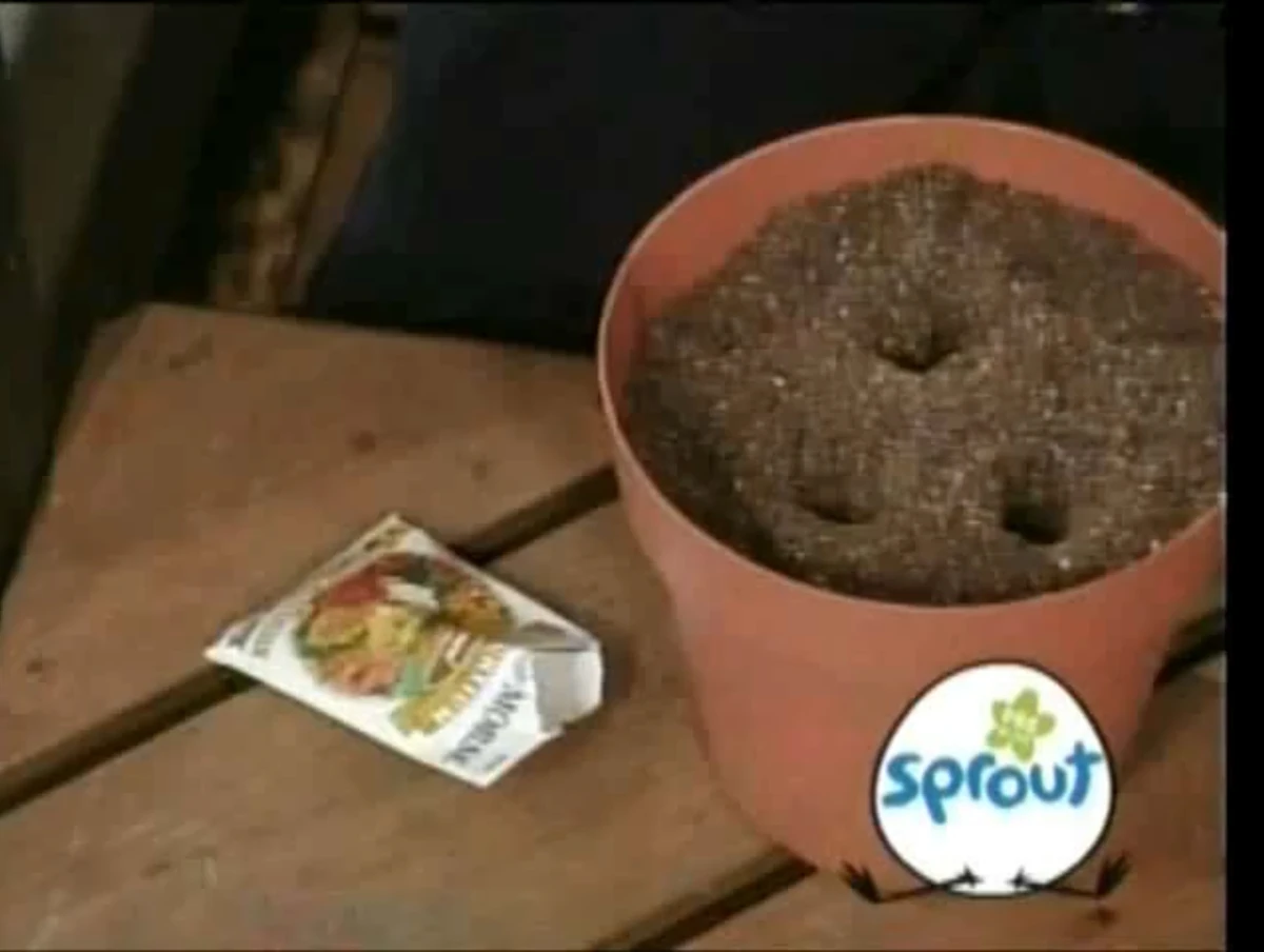 November 14, 2007 | PBS Kids Sprout TV Wiki | Fandom