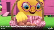 Ruff-Ruff, Tweet and Dave/Gallery | PBS Kids Sprout TV Wiki | Fandom