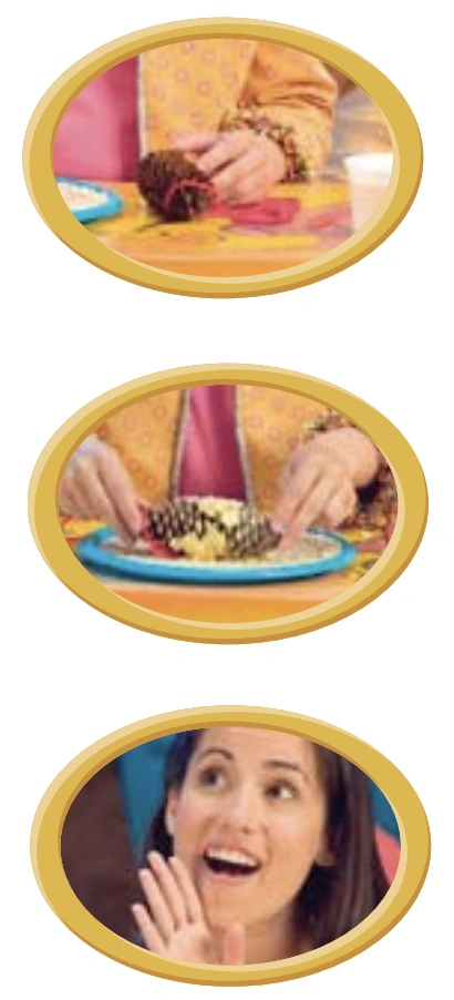 Season 2 segments (2006) | PBS Kids Sprout TV Wiki | Fandom
