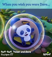 Ruff-Ruff, Tweet and Dave/Gallery | PBS Kids Sprout TV Wiki | Fandom