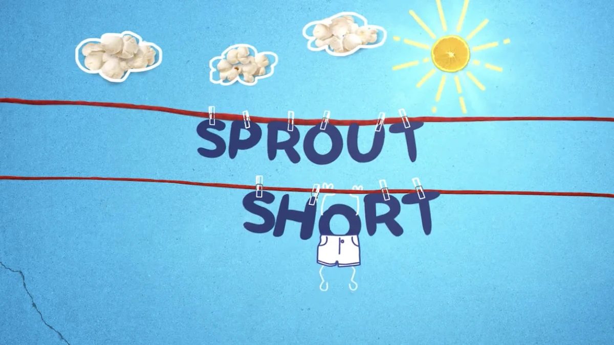 Sprout Shorts | PBS Kids Sprout TV Wiki | Fandom