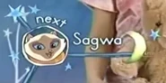 Sagwa, the Chinese Siamese Cat/Gallery | PBS Kids Sprout TV Wiki | Fandom
