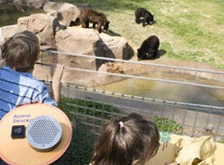 Category:The Let's Go Show | PBS Kids Sprout TV Wiki | Fandom