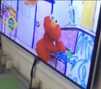 October 28, 2014 | PBS Kids Sprout/Universal Kids Schedule Archive Wiki ...