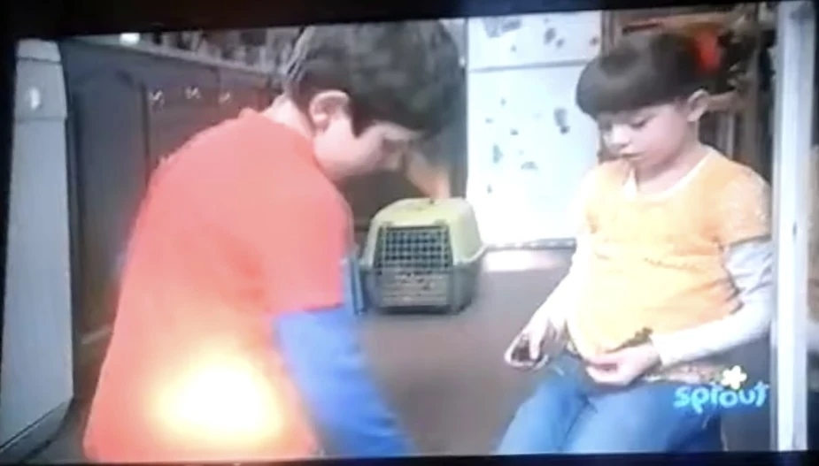 July 22, 2017 | PBS Kids Sprout/Universal Kids Schedule Archive Wiki | Fandom