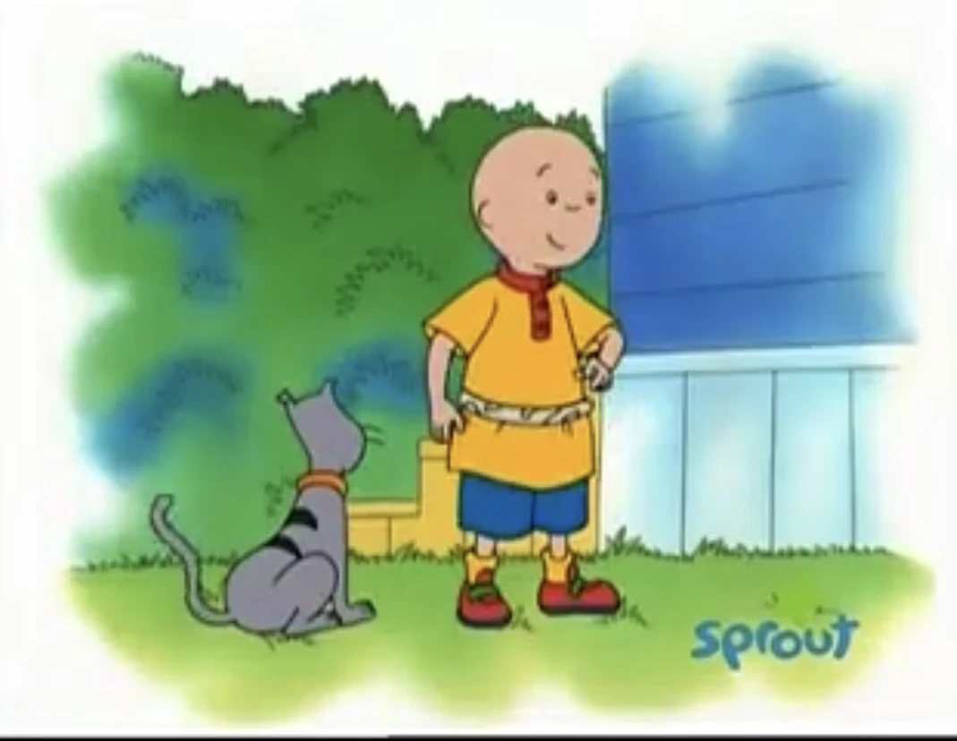 March 20, 2015/Get Well Soon / Caillou Misses Sarah | PBS Kids Sprout ...
