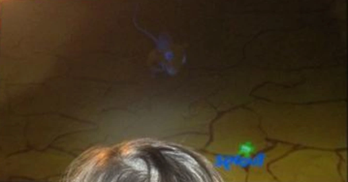 December 26, 2012 | PBS Kids Sprout/Universal Kids Schedule Archive ...