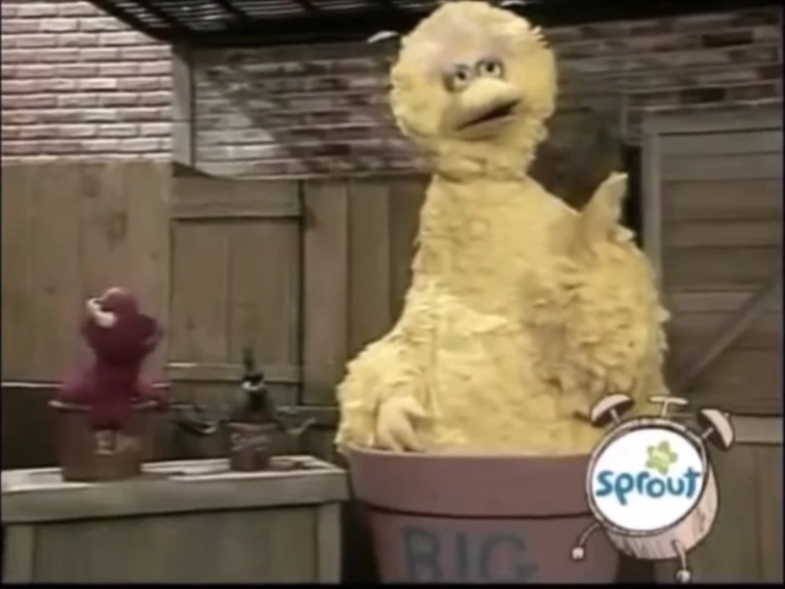 September 5, 2008 | PBS Kids Sprout/Universal Kids Schedule Archive ...