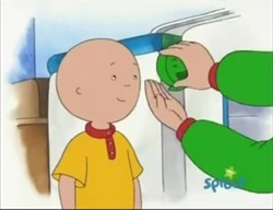 July 13, 2008 | PBS Kids Sprout/Universal Kids Schedule Archive Wiki ...