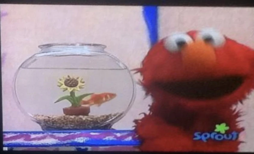 May 19, 2014 | PBS Kids Sprout/Universal Kids Schedule Archive Wiki ...