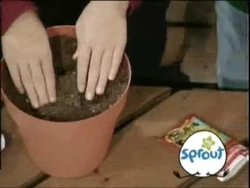 Sprout Screenbugs | PBS Kids Sprout/Universal Kids Schedule Archive ...