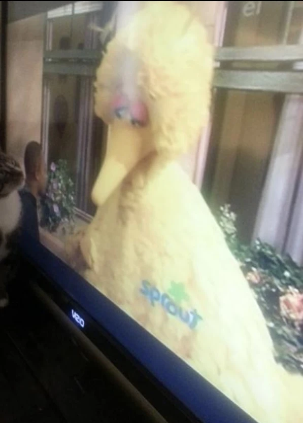 October 22, 2014 | PBS Kids Sprout/Universal Kids Schedule Archive Wiki ...