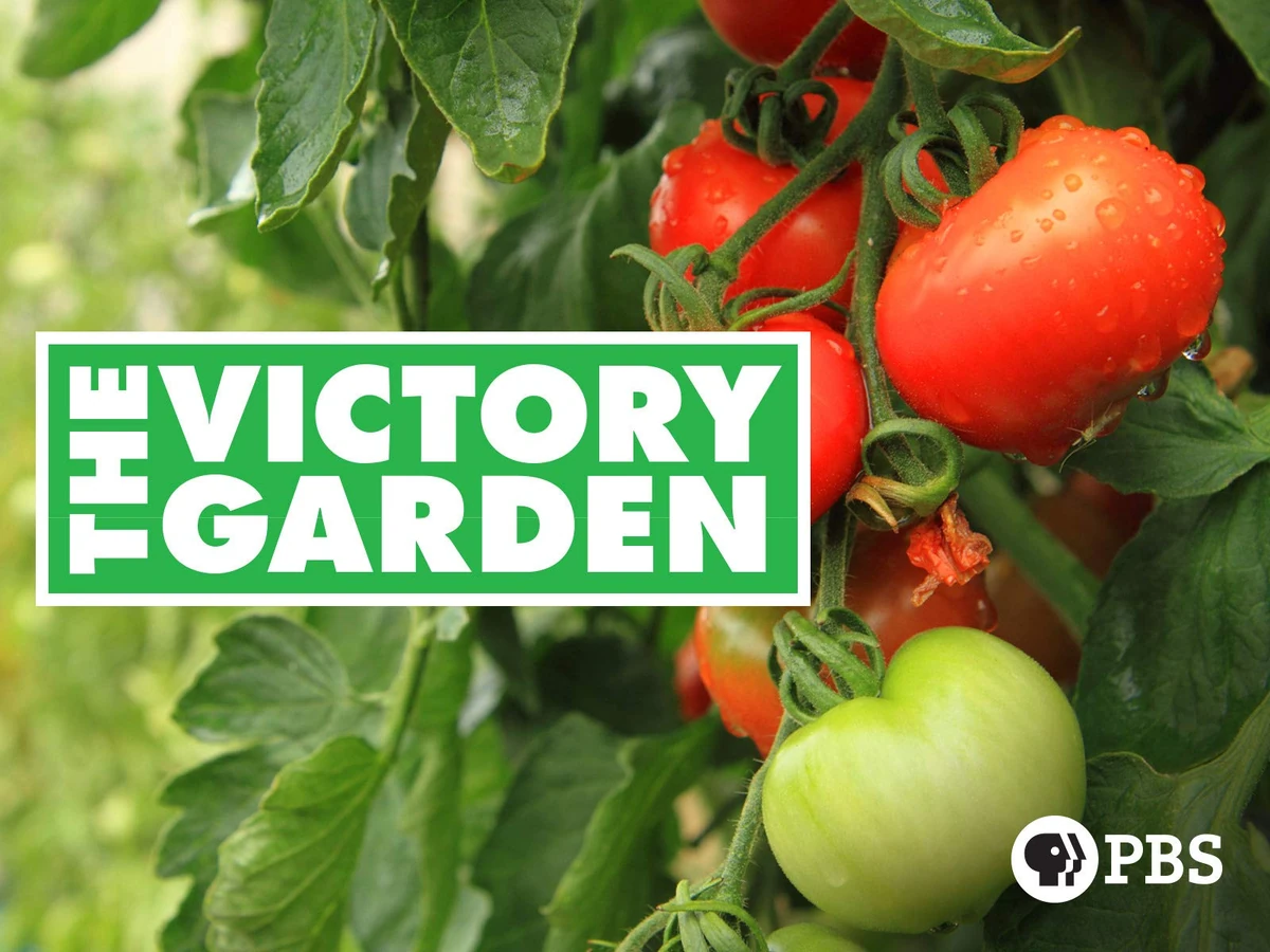 The Victory Garden | PBS Funding Credits Wikia Wikia | Fandom