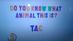 KCET Kids Bumpers | PBS/KCET Archives Wiki | Fandom