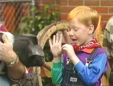 Shawn | PBS Kids Wiki | Fandom