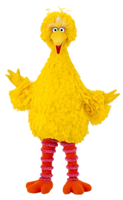 Big Bird | PBS Kids Wiki | Fandom