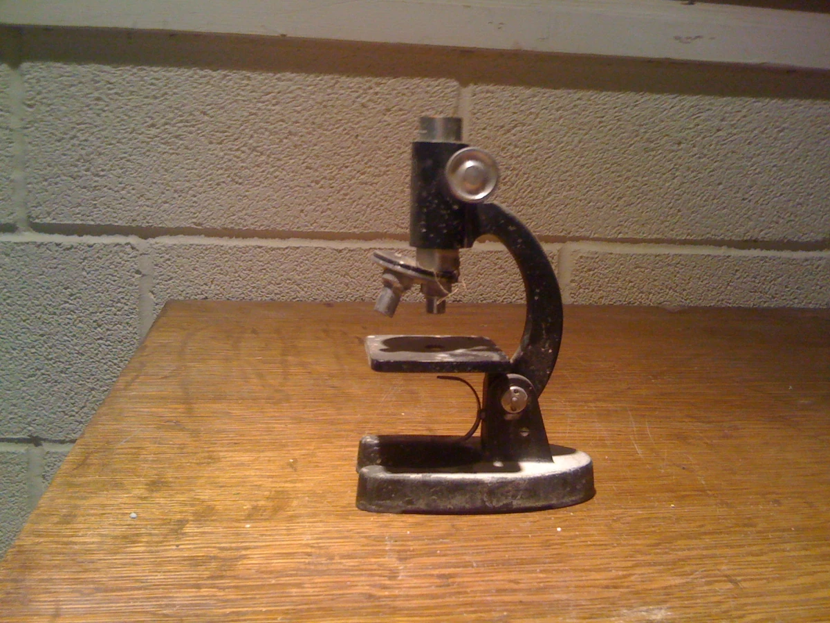 Microscope | Plattsburgh Props Loft Wiki | Fandom